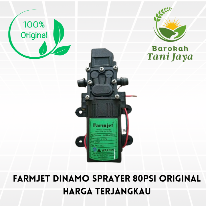 Dinamo Pompa Sprayer Elektrik 12V 80psi Model Socket Drat Cuci Motor ...