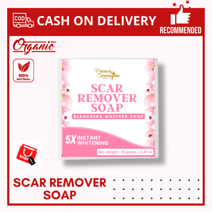 HOTSPOT Scar Remover Soap 70g Bleaching Whipped Soap Exfoliator 5x ...