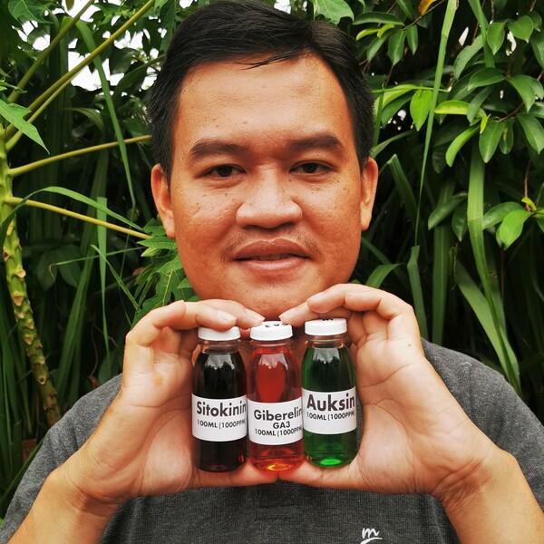 Paket Hormon Tanaman Auksin Giberelin Sitokinin 300ml | Lazada Indonesia