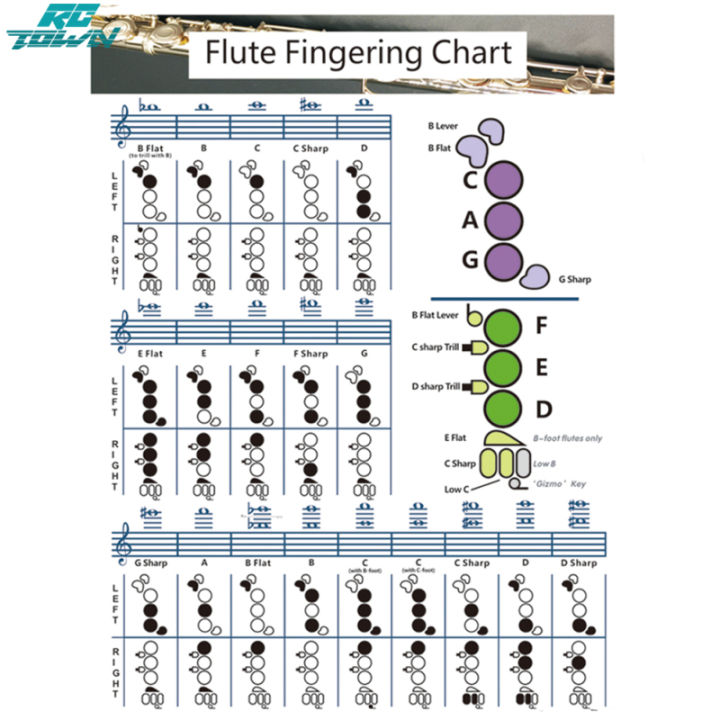 Flute Chord Chart Educational Chord Poster Finger Placement Reference ...