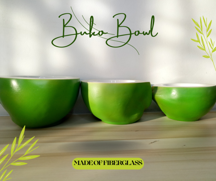 Buko Coconut Bowl-Buko Fruit Salad/Soup Mangkok Made of Fiber | Lazada PH