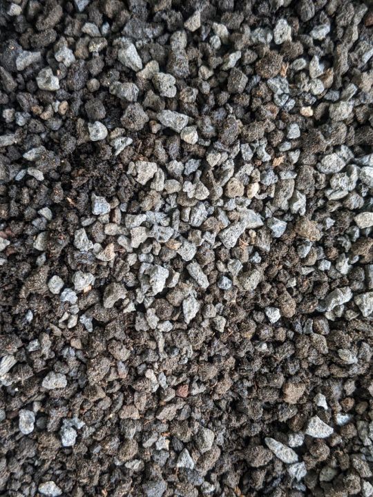 Black Lava Rocks (Large Pack) | Lazada Singapore