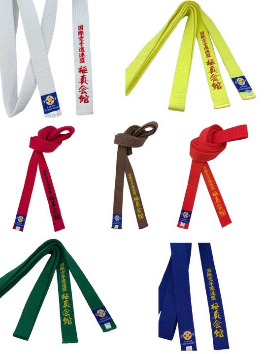 Karate Belts Martial Arts MMA Protective International Karate ...