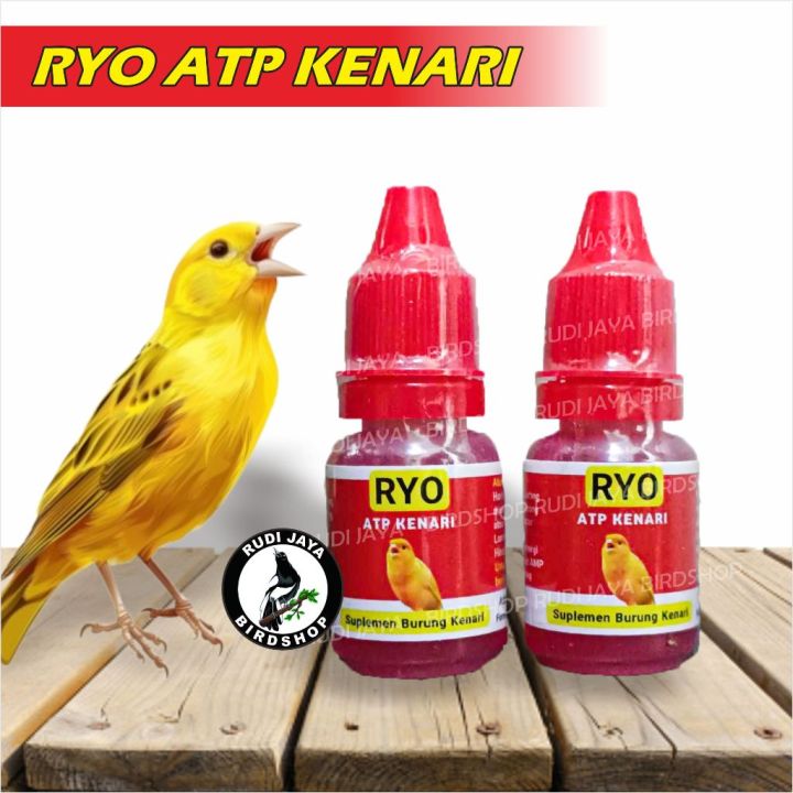 RYO ATP KENARI KAMISAMA VITAMIN BURUNG KENARI FINCH SANGER BLACKTHROAT | Lazada Indonesia