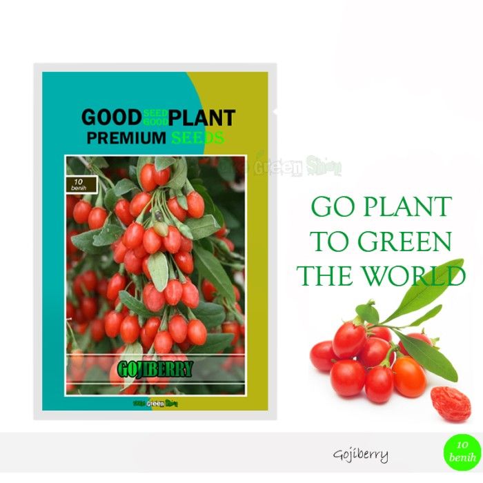 10 biji - Benih Bibit Buah Goji Berry Red Fruit Extra Sweet ...