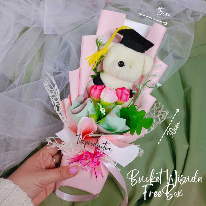 Mini Buket Boneka Wisuda Premium/ Hadiah Wisuda/ Boneka Graduation ...