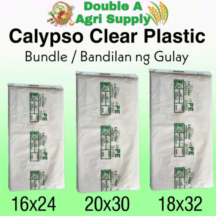 PE Plastic Bag / 0.01 Thickness / Calypso Clear Plastic / 16x24 / 20x30 ...