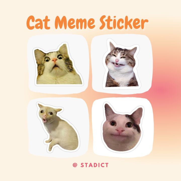 PVC Transparent Funny Cat Meme Sticker Waterproof Notebook Motor Bottle ...