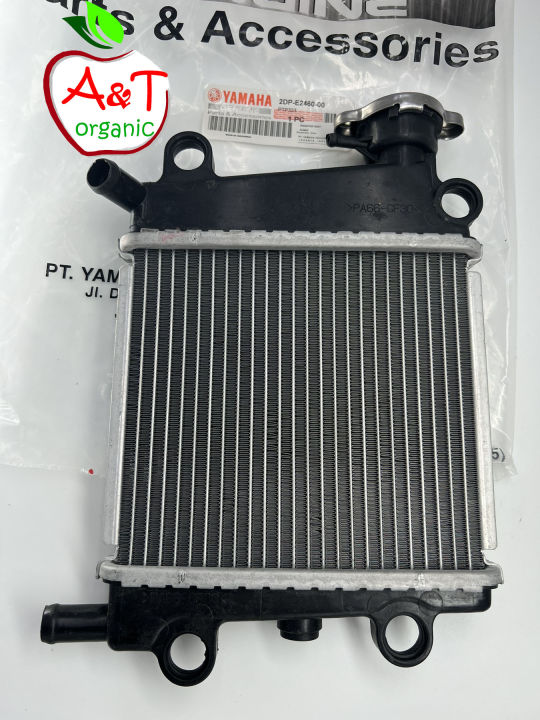 2DP Radiator Assembly for Yamaha Nmax v1 / Aerox v1 | Lazada PH