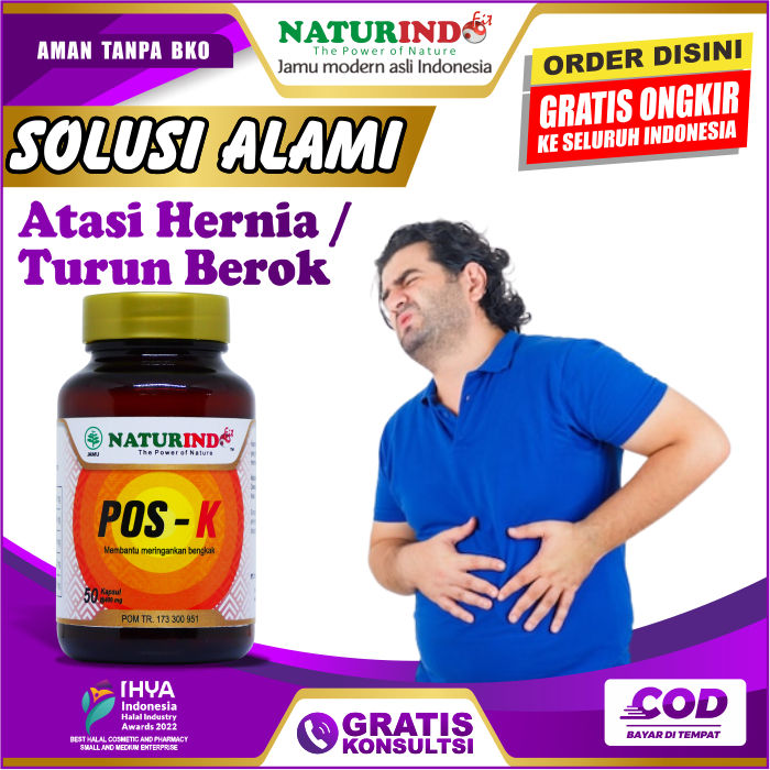 NATURINDO OBAT HERNIA HERBAL HERNIA OBAT TURUN BEROK DEWASA DAN ANAK ...