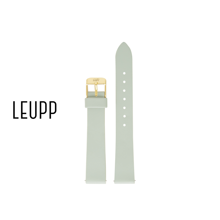 LEUPP Pistachio/Gold Watch Strap, 16mm | Lazada PH