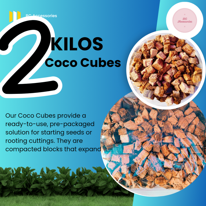 1 kilo coco cubes for Plants | Lazada PH