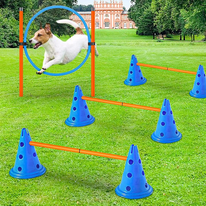 Baosity Agility Training Set Dog Agility Hurdle Cone Set Dog Obstacle ...