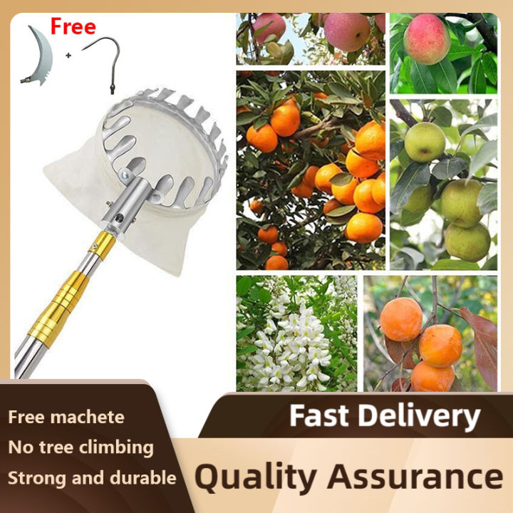 Fruit Picking with long pole Artifact Telescopic Pole Fruit Picker ...