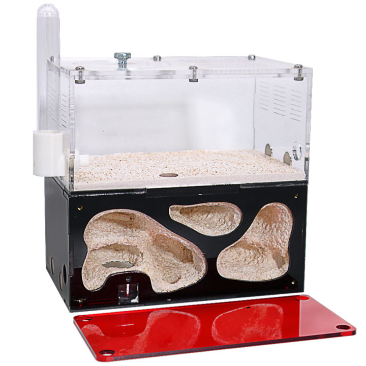 Acrylic Ant Farm Infinite Splicing Ant Nest Temperature Control ...
