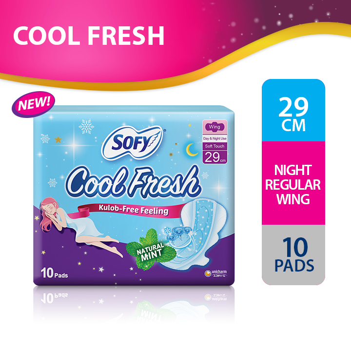 [FREE SHIPPING] Sofy Cool Fresh Wing Overnight Sanitary Napkin 29 cm ...