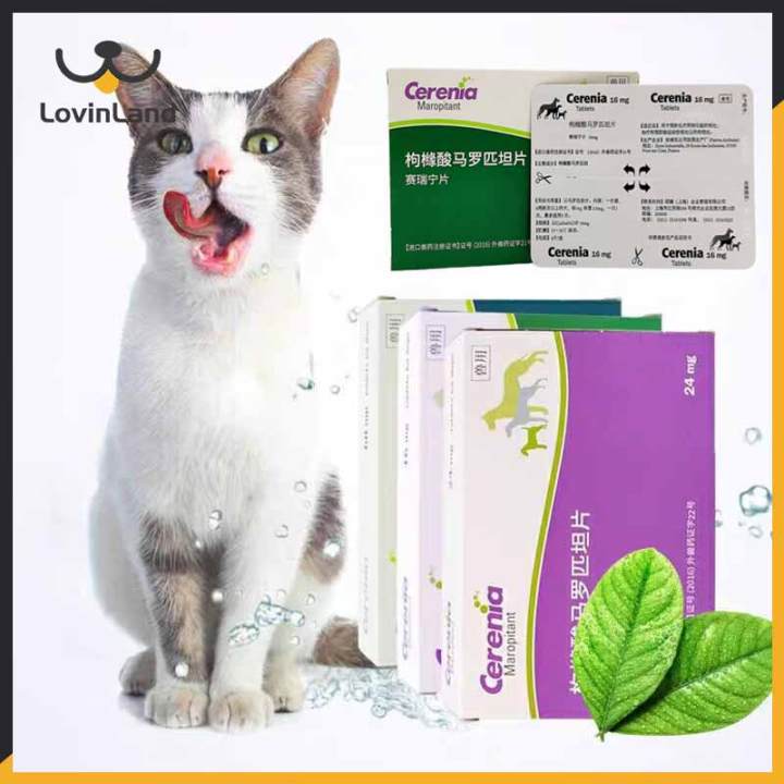 Pfizer Zoetis Cerenia (Maropitant Citrate) Chewable Tablets for Cats ...