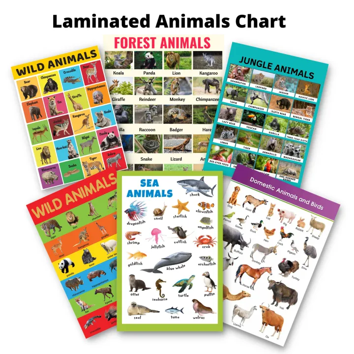 Laminated Animal Charts for Kids and Learners, Farm Animals, Domestic ...