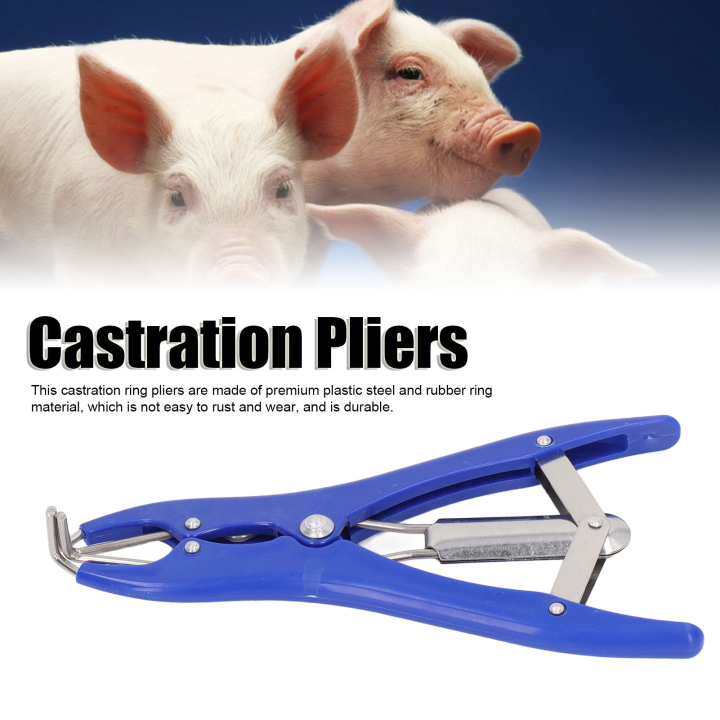 Castration Plier with 100pcs Red Castrator Rubber Rings Tail Docking Clamp Castration Plier Ring ...