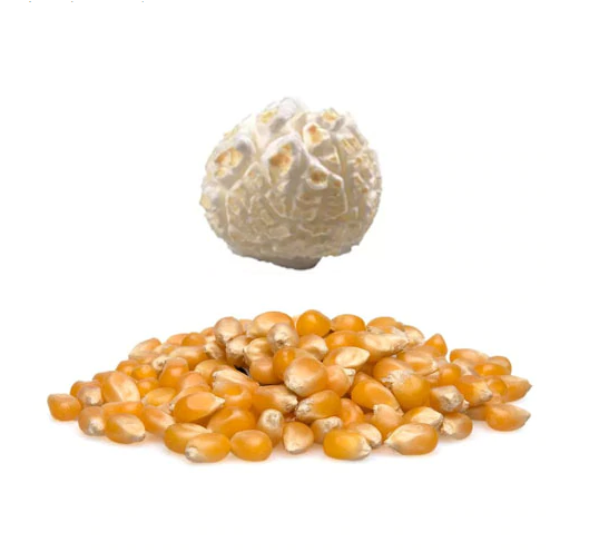Kernel Popcorn Pop Corn Mushroom Popcorn Biji Bertih Jagung 500g 1kg ...
