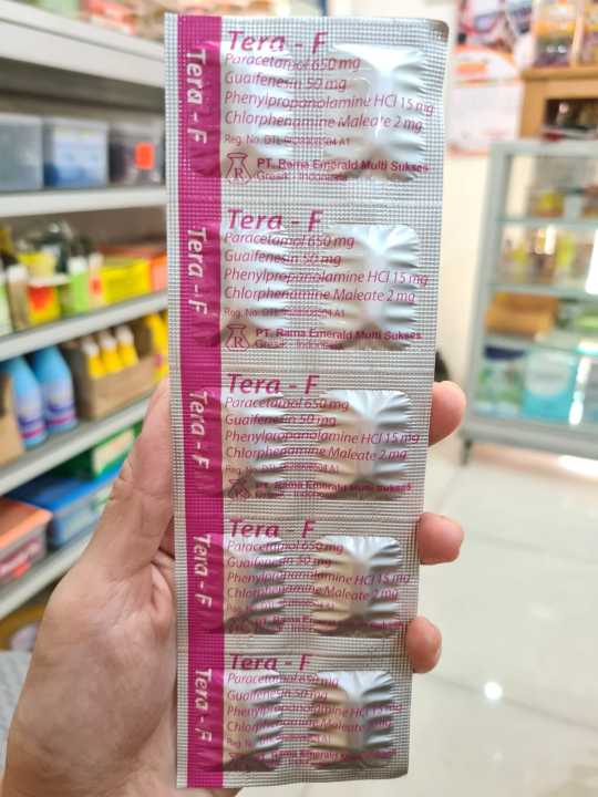 TERA F ISI 10 TABLET OBAT BATUK PILEK DEMAM HIDUNG TERSUMBAT BERSIN ...