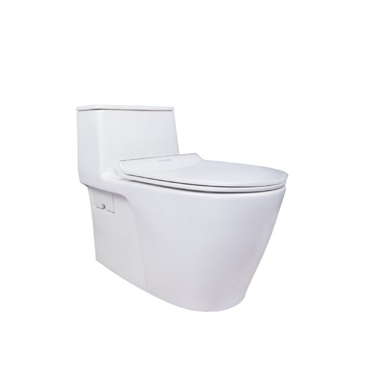 American Standard One Piece Toilet Bowl Acacia SupaSleek CL20075 ...