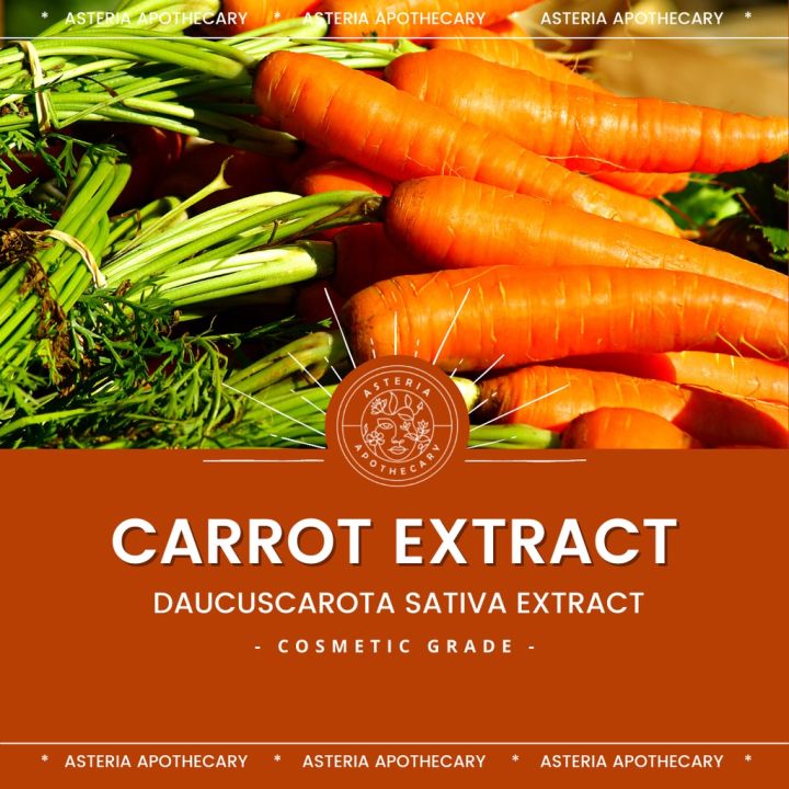 Carrot Extract | Botanical Extract 30mL & 100mL - Asteria Apothecary ...