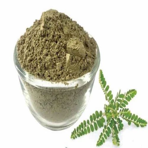 Kilanelli powder serbuk dukung anak tamalaki Bhumi Amla (phyllanthus ...