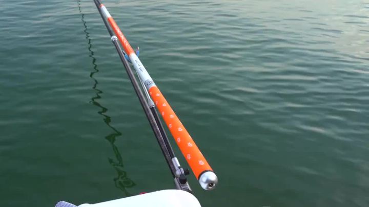 Spot parcel post Authentic Battle Green Sturgeon Threaded Steel Rod ...