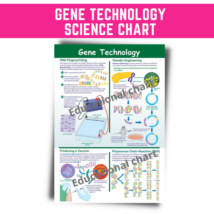 GENE TECHNOLOGY POSTERS CHARTS I ALL ABOUT SCIENCE CHARTS, A4 Size ...