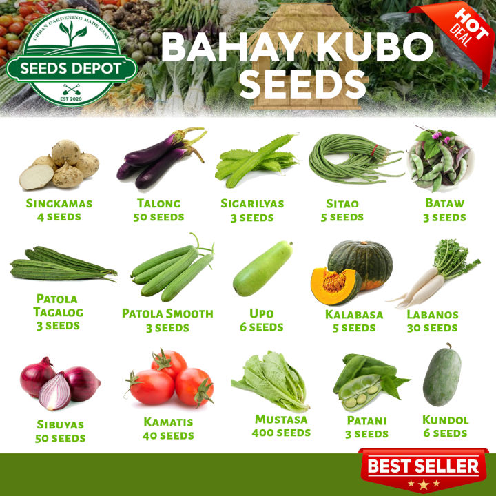 Bahay Kubo Vegetable Seeds Sigarilyas Talong Sitao Bataw Patani