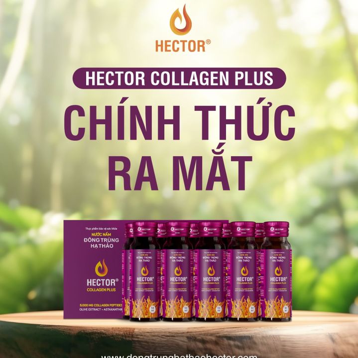 NƯỚC NẤM ĐÔNG TRÙNG HẠ THẢO HECTOR COLLAGEN PLUS (hộp 10 chai) | Lazada.vn
