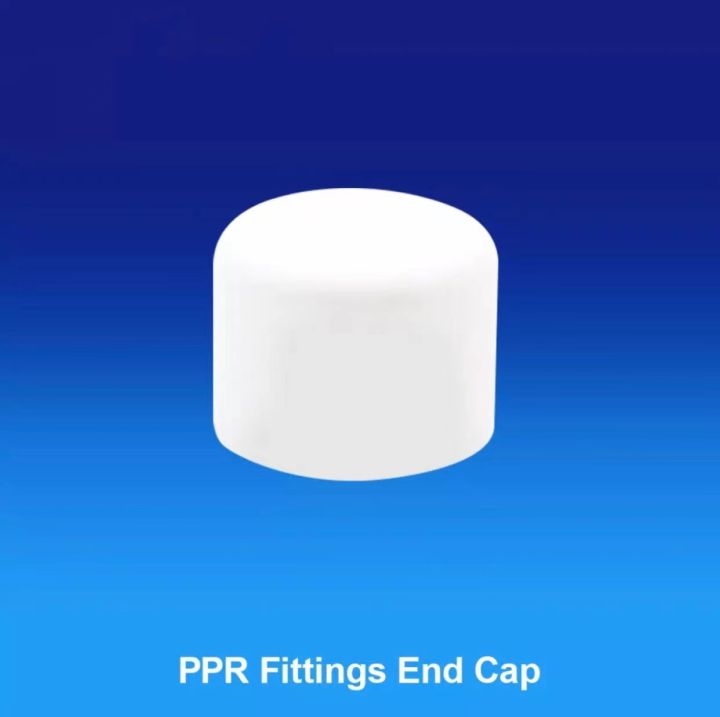 PPR Fittings End Cap/Cup 1/2" 3/4" 1" | Lazada PH