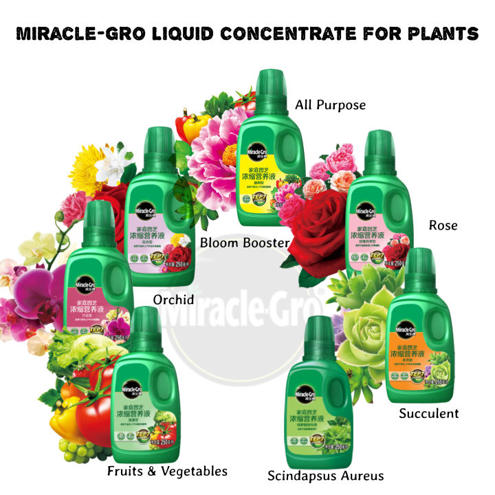 Miracle-Gro 美乐棵 Concentrated Liquid Fertilizer for Plant. 250ml ...
