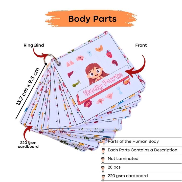 Laminated and Non-Laminated Body Parts Flashcards for Kids – Sturdy ...