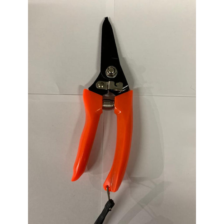 Pruning Shear Gardening Shear Garden Shear Straight Electrical Electric ...