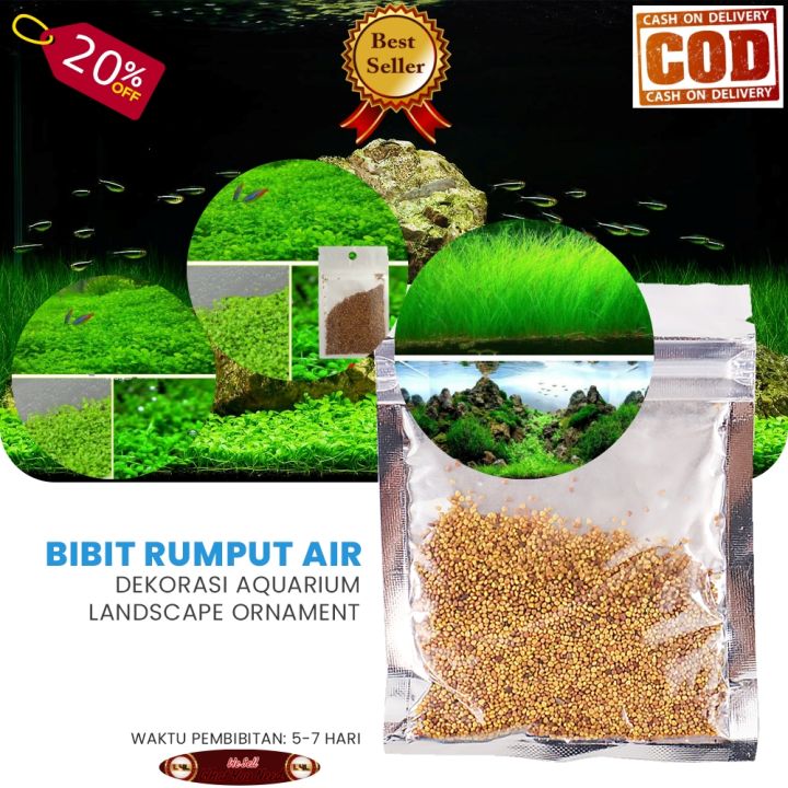 Bibit Rumput Air Dekorasi Aquarium Landscape Ornament - H0027/tanaman ...