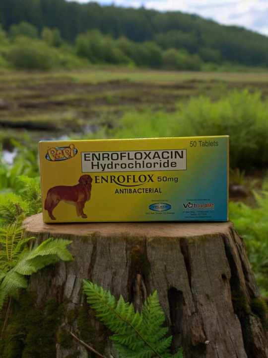 ENROFLOX ANTIBACTERIAL (50 TABLETS) | Lazada PH