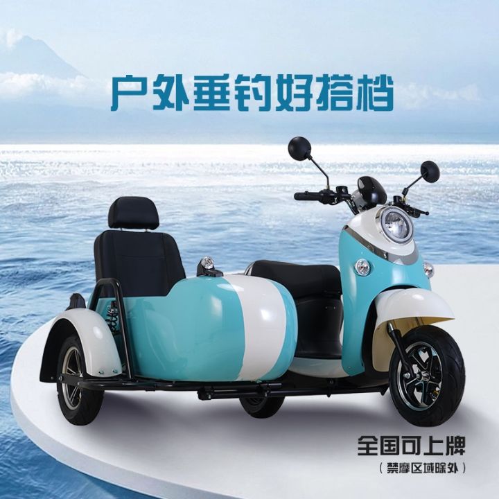 Turtle king electric side motor tricycle Baga pedal electric bike with ...