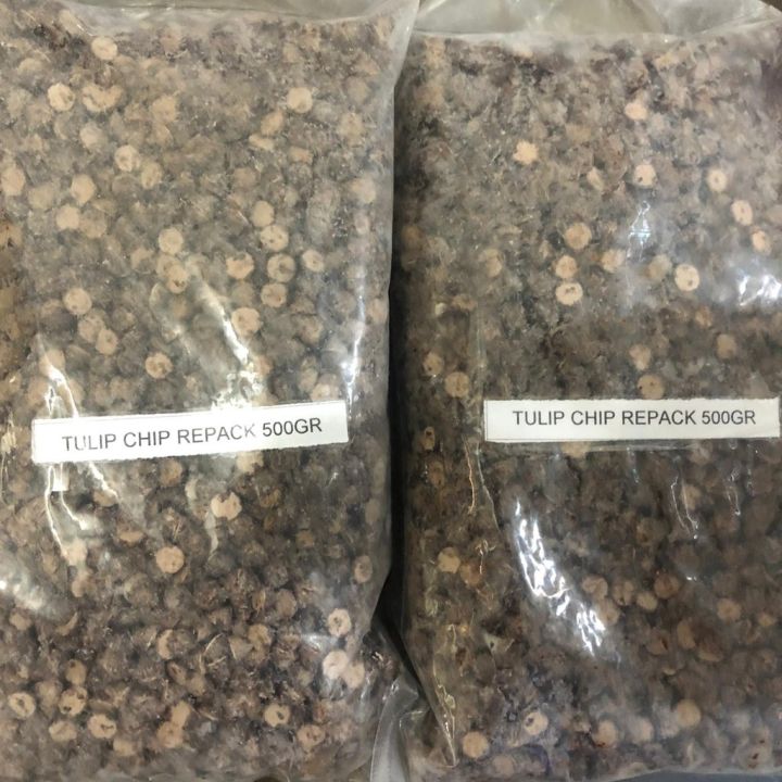 Tulip Choco Chip - Tulip Coklat Chip Rep 500gram | Lazada Indonesia