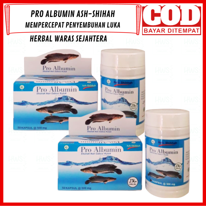 PAKET 2 BOTOL Pro Albumin 100% Ekstrak Ikan Gabus / kutuk - Kapsul ...