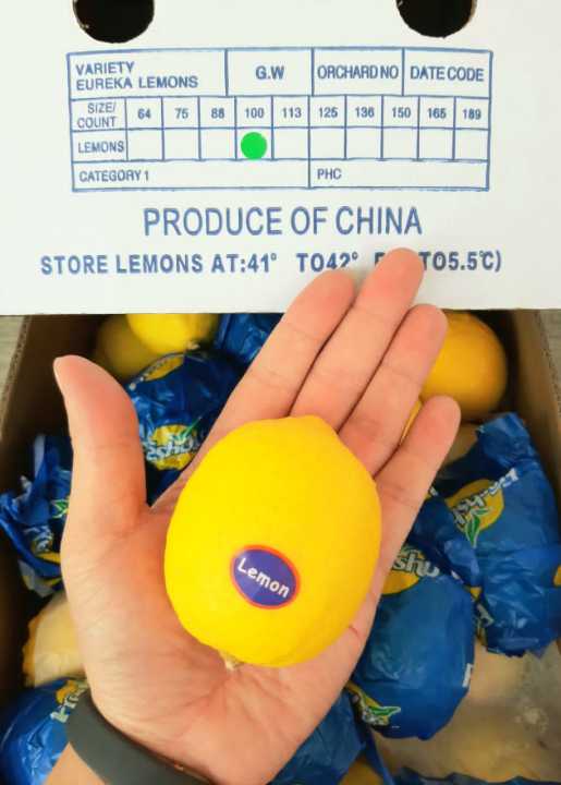 Fresh Lemon, Buah Lemon 柠檬 5pcs | Lazada