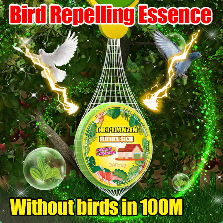 🚫 No birds here 💨 BLG Mall Bird repellent Outdoor Animals Repellent ...