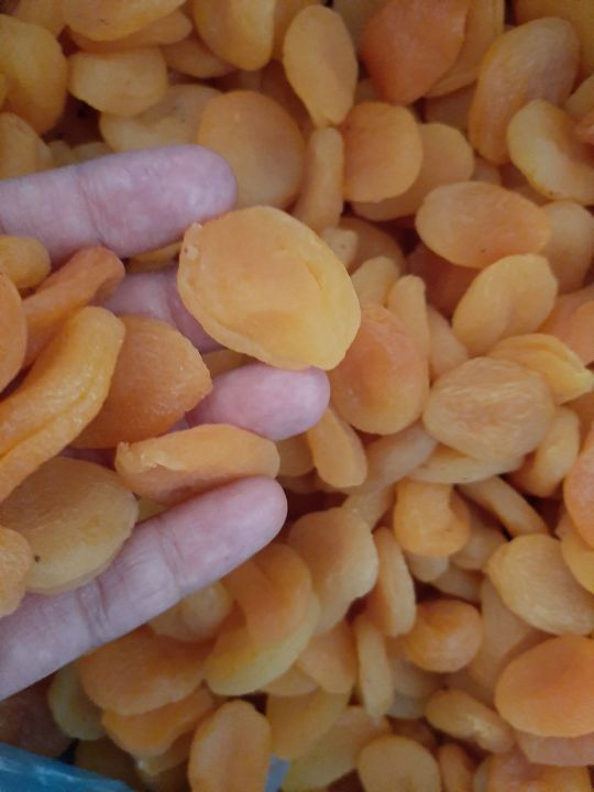 APRICOT (TURKEY) 200GM | Lazada