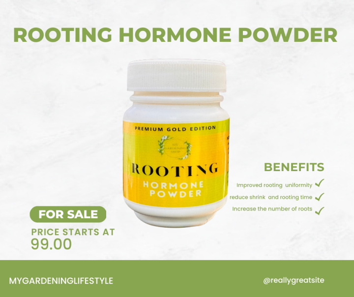 My Gardening Shop Rooting Hormone Powder (50 grams) GROW PLANTS FROM ...