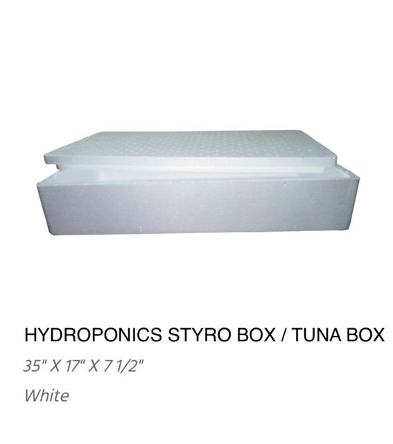 STYRO BOX / HYDROPONICS STYRO BOX / TUNA BOX | Lazada PH