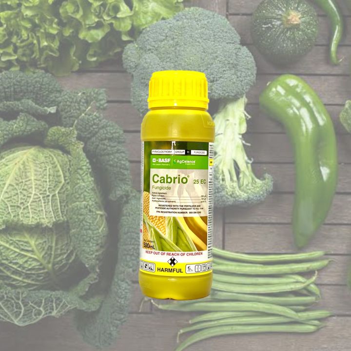 Cabrio Fungicide 500ml Lazada Ph