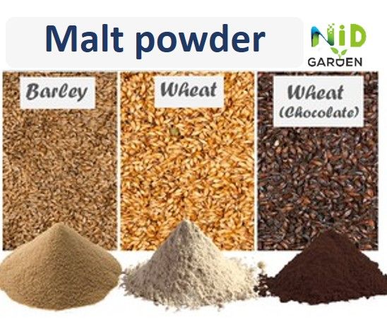 มอลต์บดละเอียด (diastatic malt powder) แป้งมอลต์ ขนาด 500 g (Whole ...