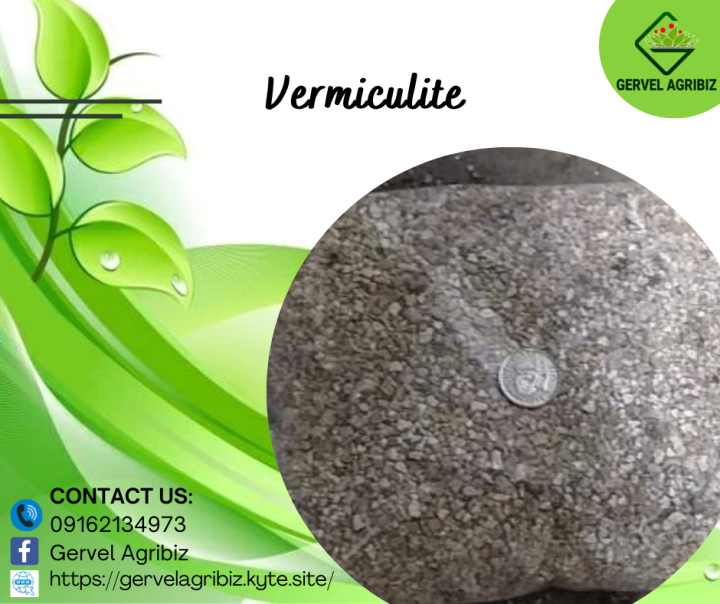 Vermiculite for Plants mix and beddings for reptiles, coarse grade, 1 ...