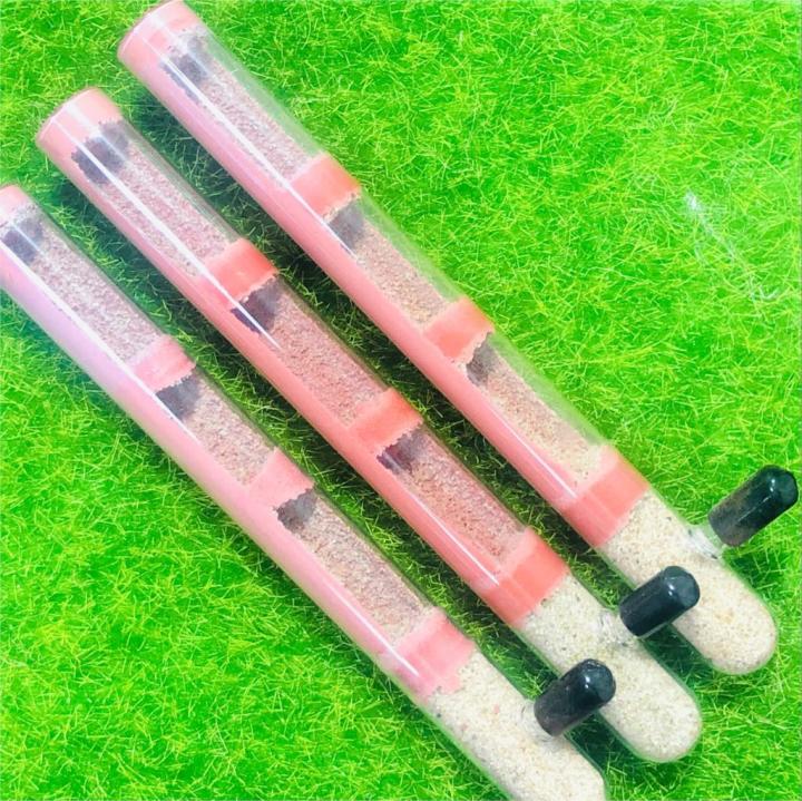 Easy moisturing sand DIY Ecological Ant Farm Bamboo Test Tube Ant Nest ...